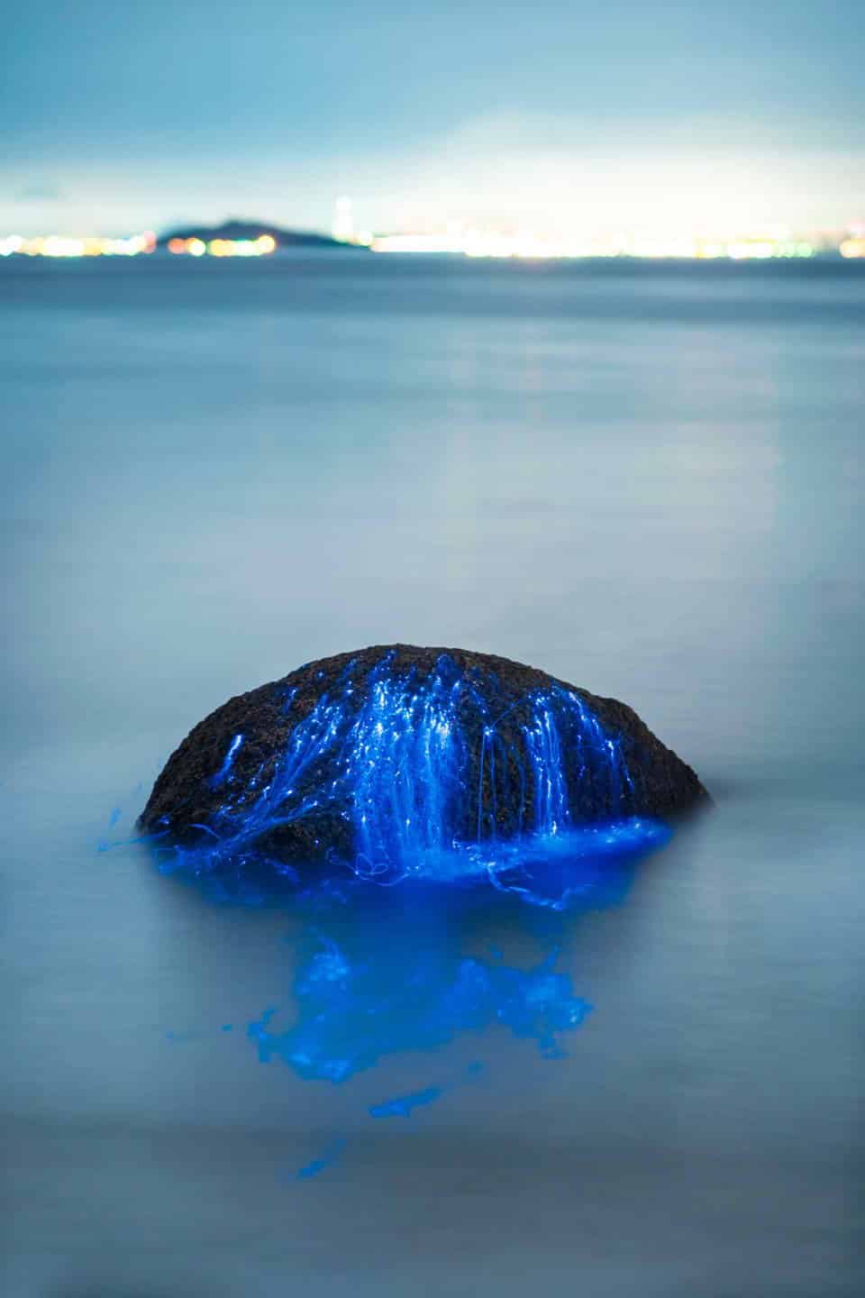 Bio-Luminescent Shrimp Makes These Rocks in Japan Look Like They Are ...